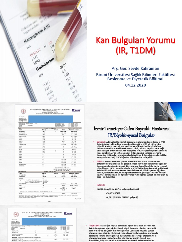 SK - DM - IR - Kan Bulguları Yorumu | PDF
