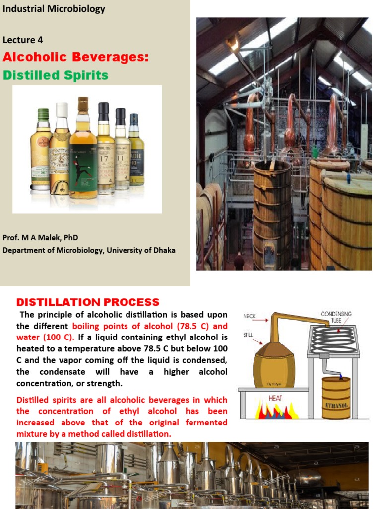 SUB Lecture 4 Production of Alco Bev Dist Spirit 2023 | PDF