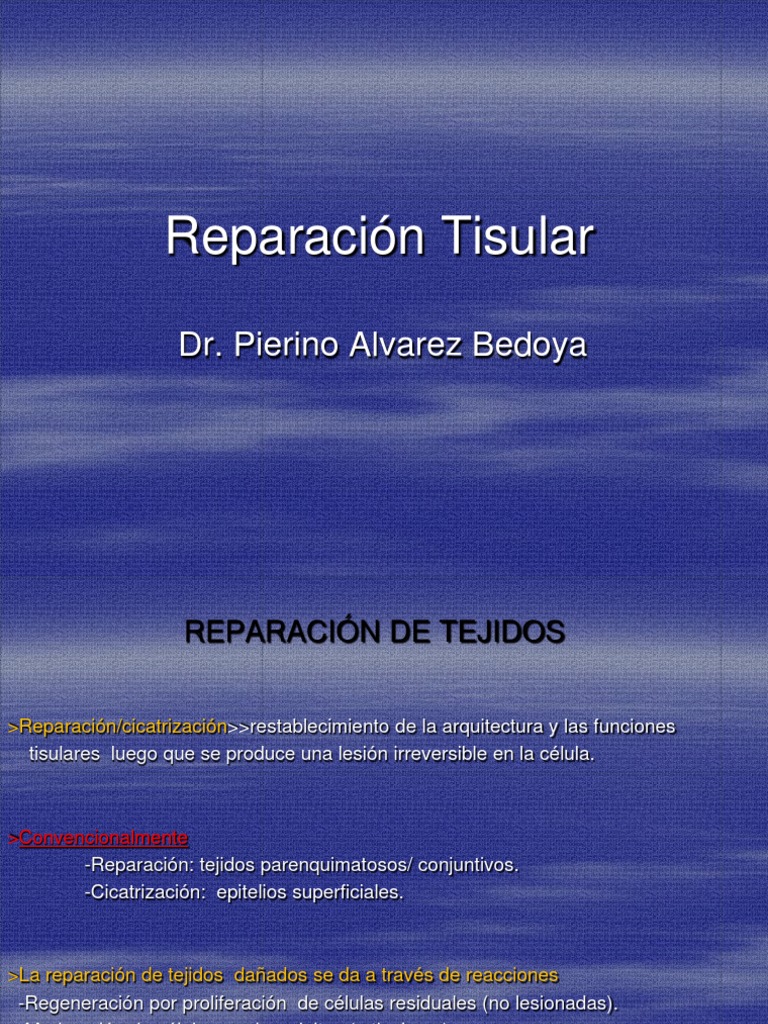 PATOLOGIA-Clase N°3-Reparación Tisular | PDF | Cicatrización de la ...