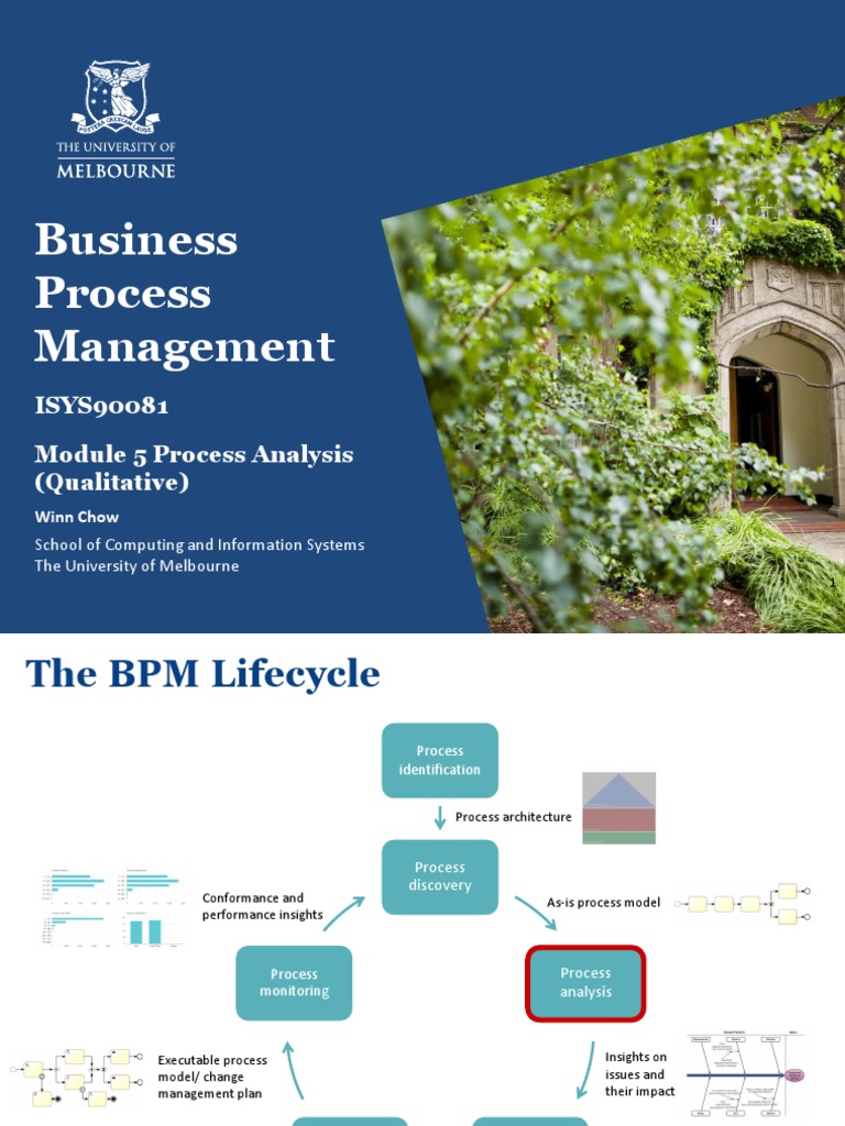 m5 Process Analysis | PDF | Lean Manufacturing | Inventory