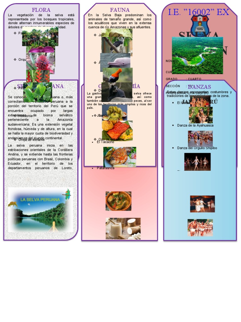 Selva Peruana16002 | PDF
