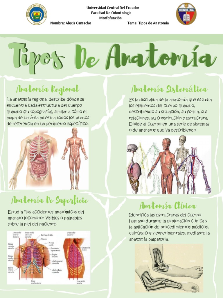 MORF Alexis Camacho Tarea 2 | PDF