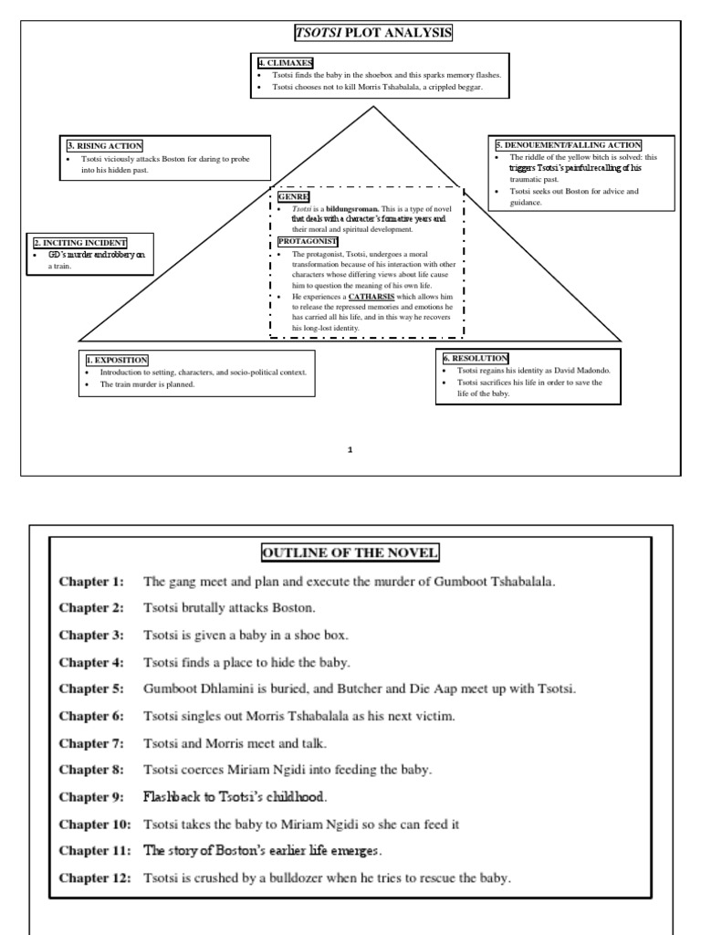 Tsotsi Plot Analysis 1 | PDF