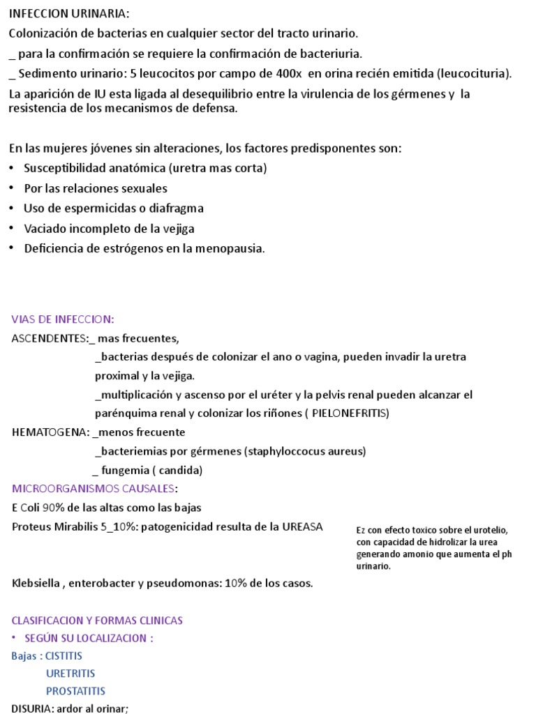 Infección Urinaria: Causas y Síntomas | PDF | Infección del tracto ...