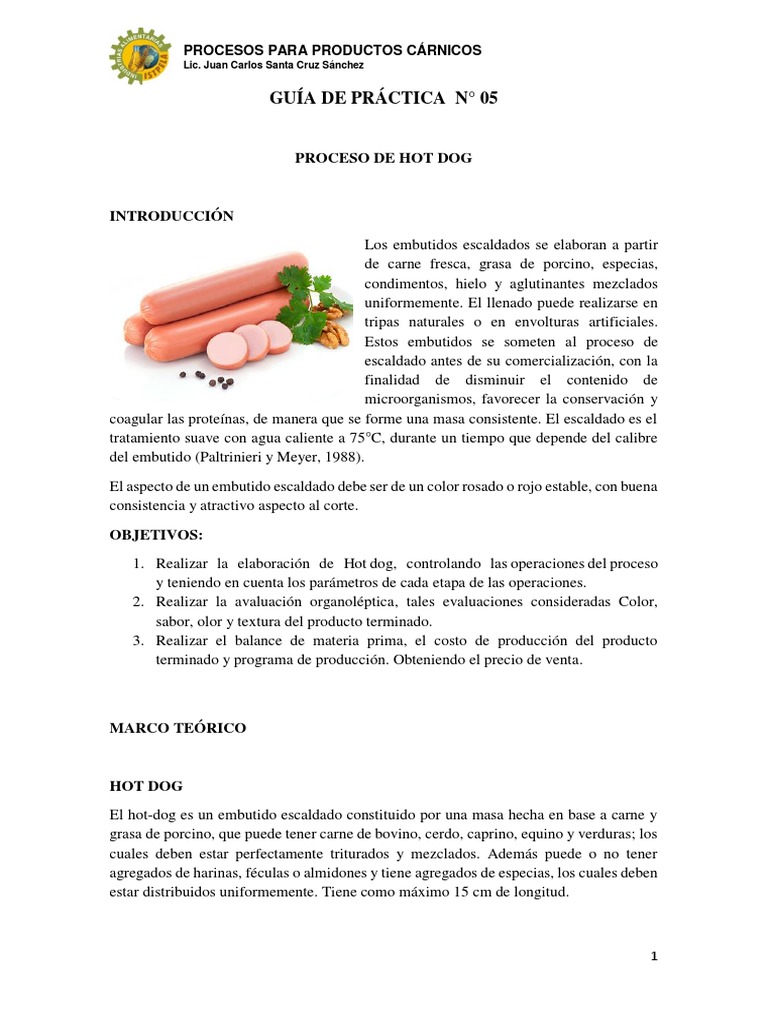 Guía de Practica 05 Proceso Hot Dog | PDF