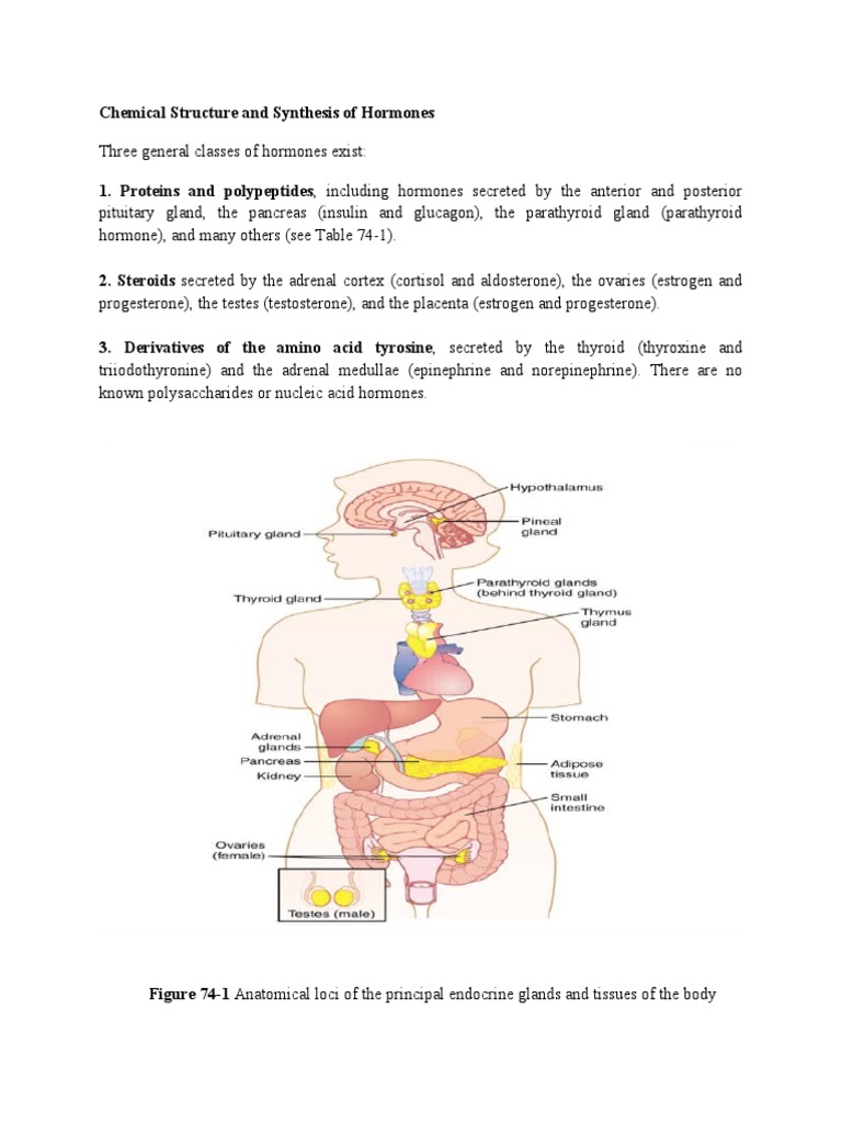 Hormone Types: Structure & Synthesis | PDF | Hormone | Secretion