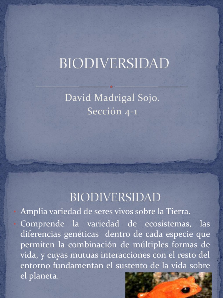 Bio Divers Id Ad | PDF