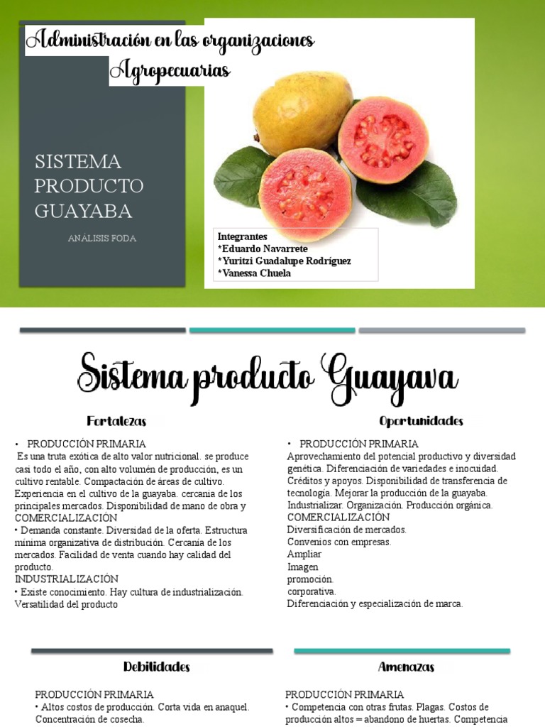 Análisis FODA de la Guayaba | PDF | Mercado (economía) | Agricultura