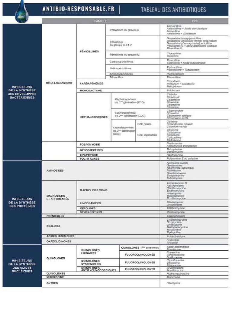 Pilly Tableau 2 | PDF