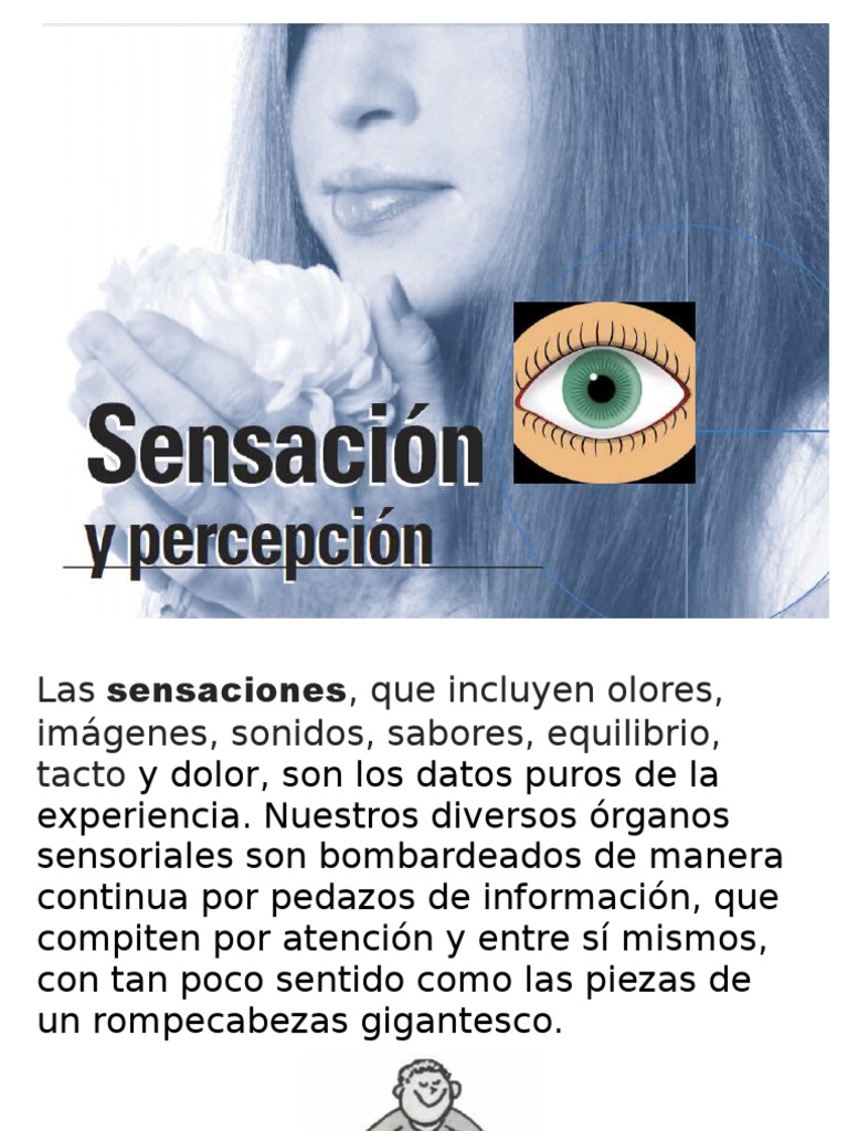 Sensacion y Percepcion 1 | PDF | Percepción | Sentidos