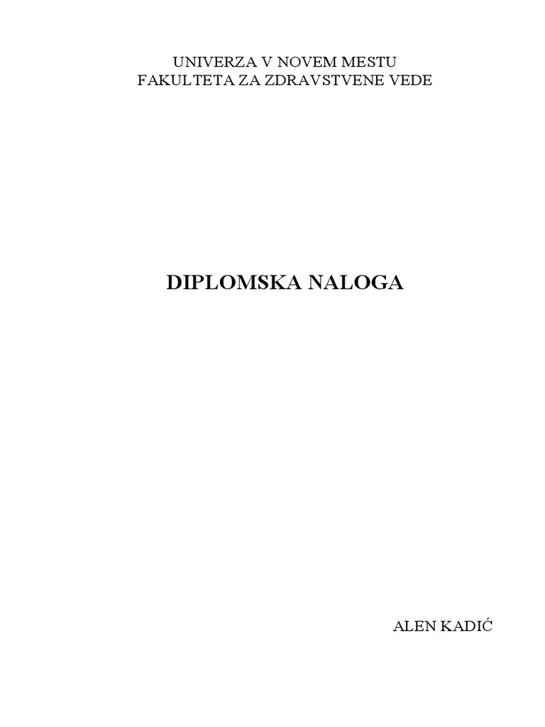 Alen Kadić - Diplomska Naloga | PDF