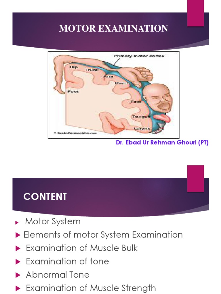 Motor Examination | PDF