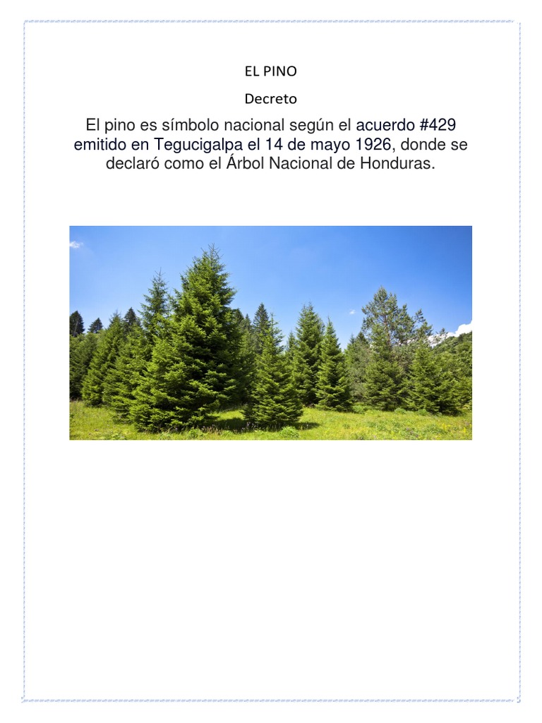 El Pino: Símbolo Nacional de Honduras | PDF