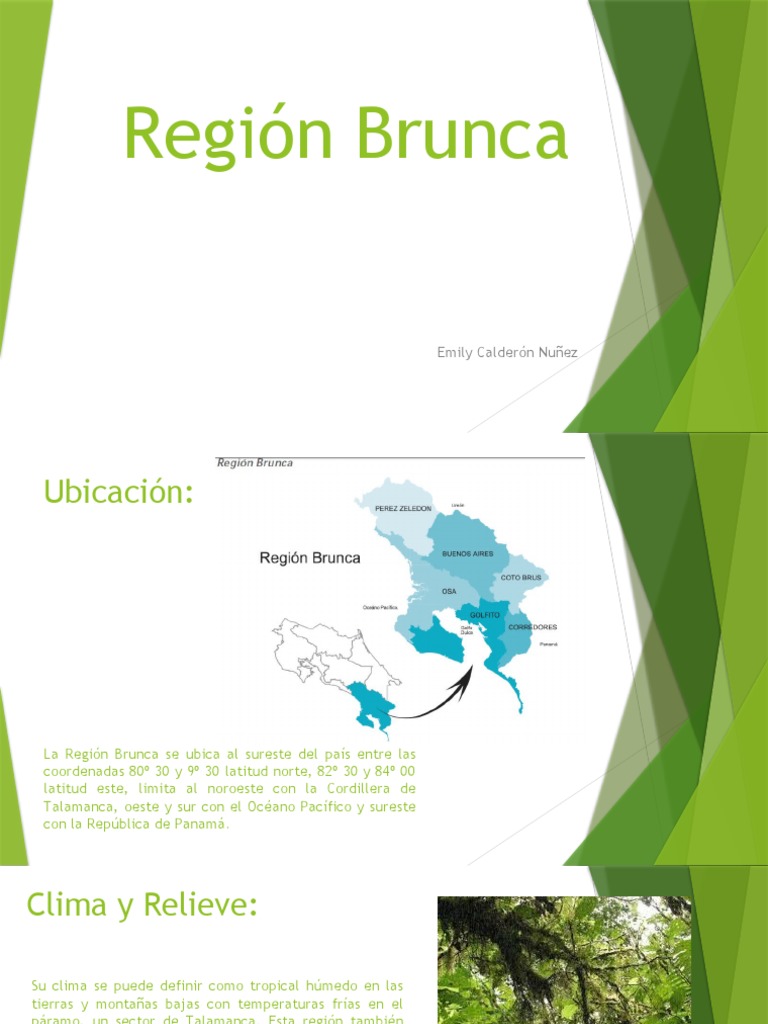 Región Brunca Emily Calderon Nuñez | PDF
