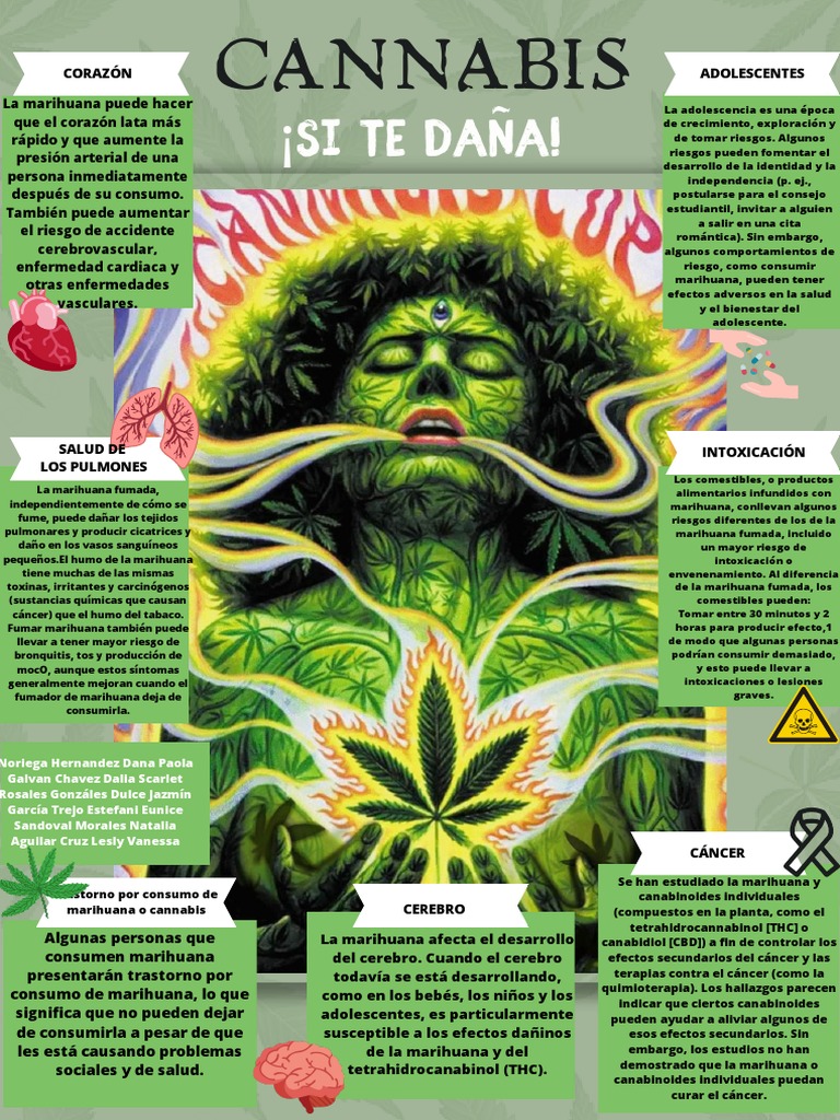 CANNABIS | PDF | Cannabis (Droga) | Enfermedades cardiovasculares