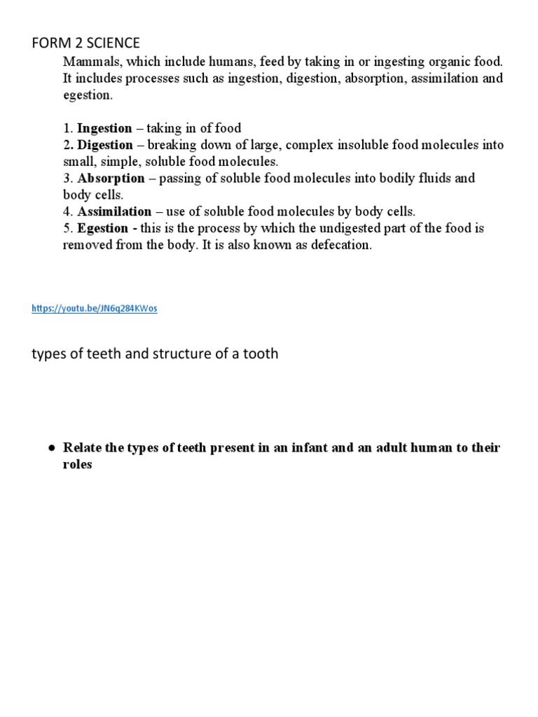 Csec HSB Teeth Notes | PDF