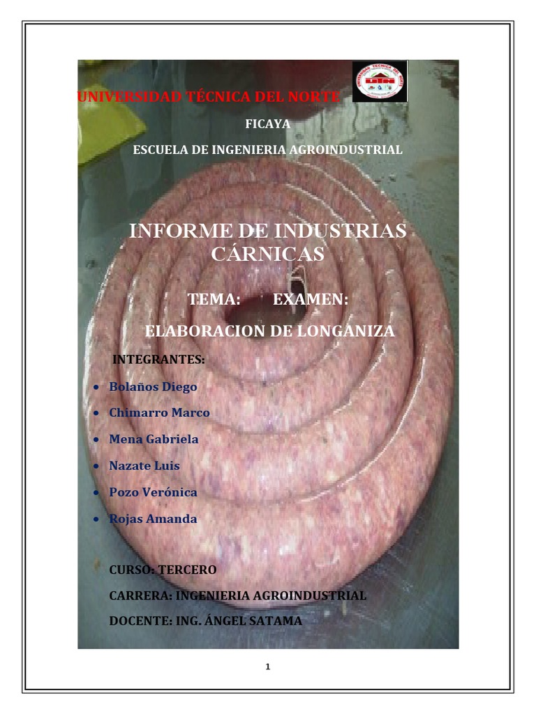 Elaboracion de Longaniza Grupo 5 | PDF | Carne | Comida y bebida