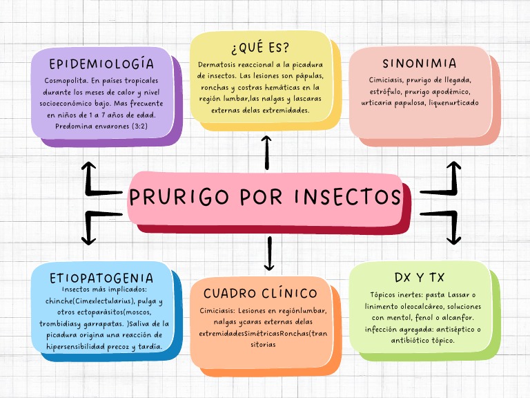 Prurigo por Insectos: Epidemiología y Tratamiento | PDF