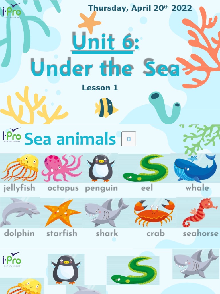 UNIT 6 - UNDER THE SEA | PDF