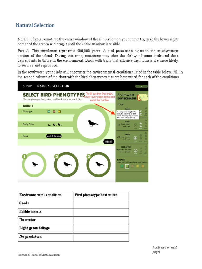 Natural Selection SEPUP Activity | PDF