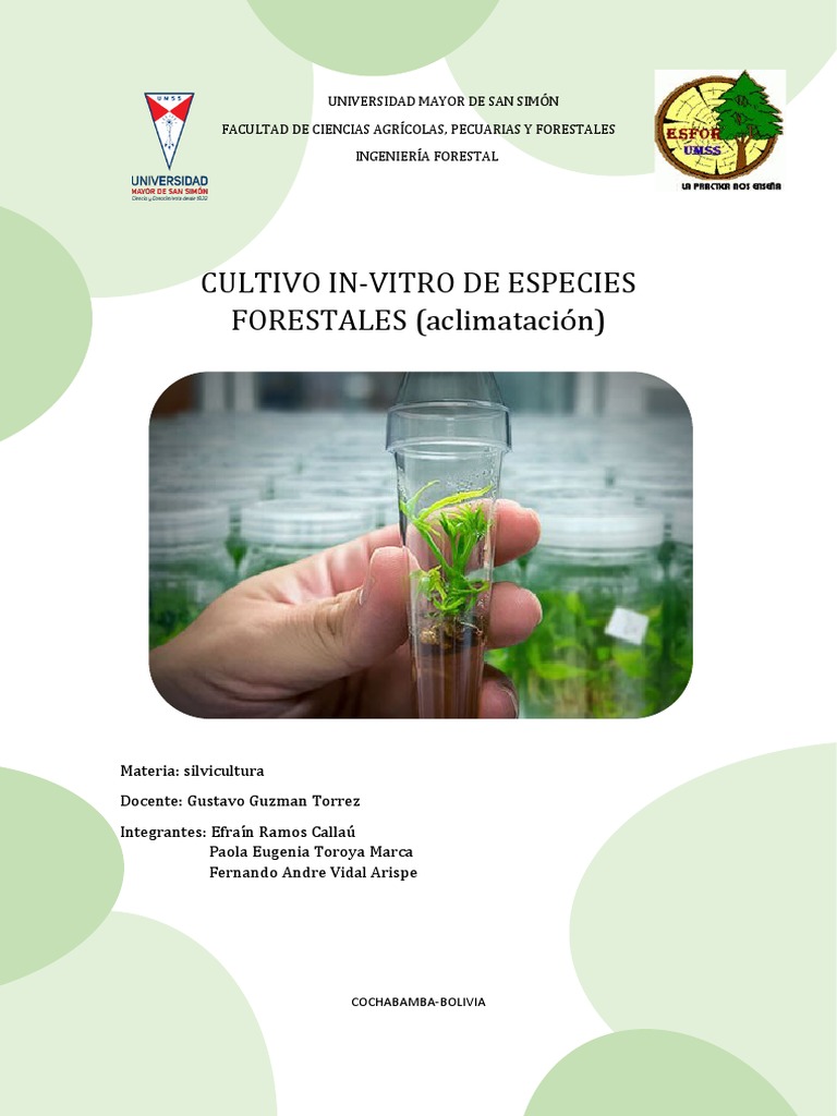 Cultivo in Vitrio | PDF | Tecnología