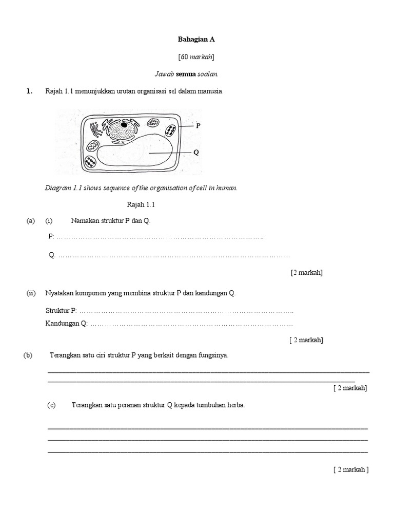 2022 PPT BIO K2 Smat | PDF