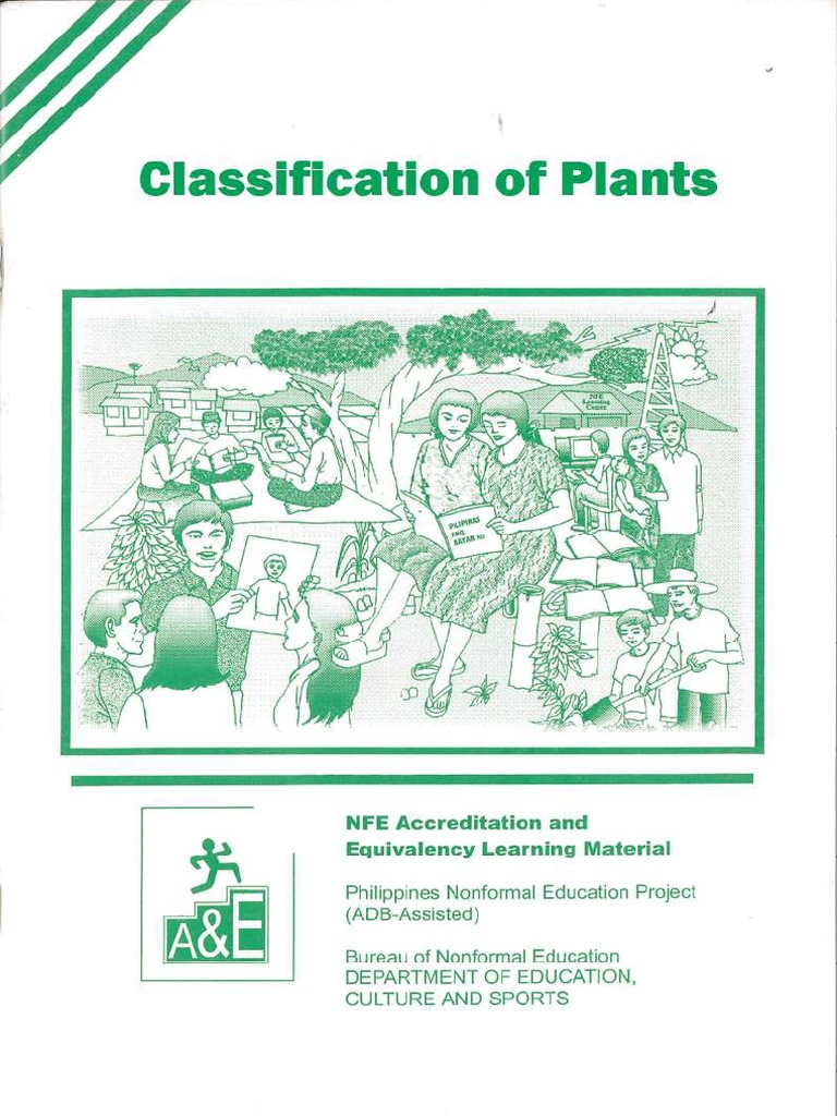 Classification of Plants | PDF | Flowers | Pollination