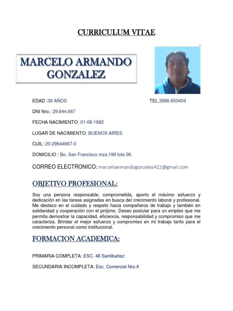 Curriculum de Marcelo Gonzalez | PDF
