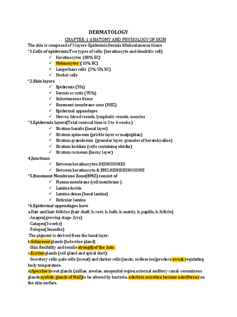 Dermatology | PDF | Skin | Epidermis