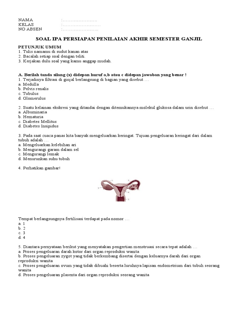 Soal Pas Ganjil 2021 | PDF