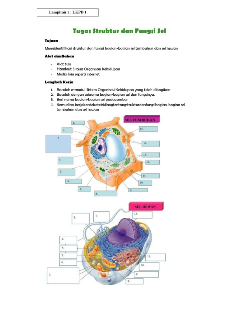 LKPD 1. Struktur Dan Fungsi Sel | PDF