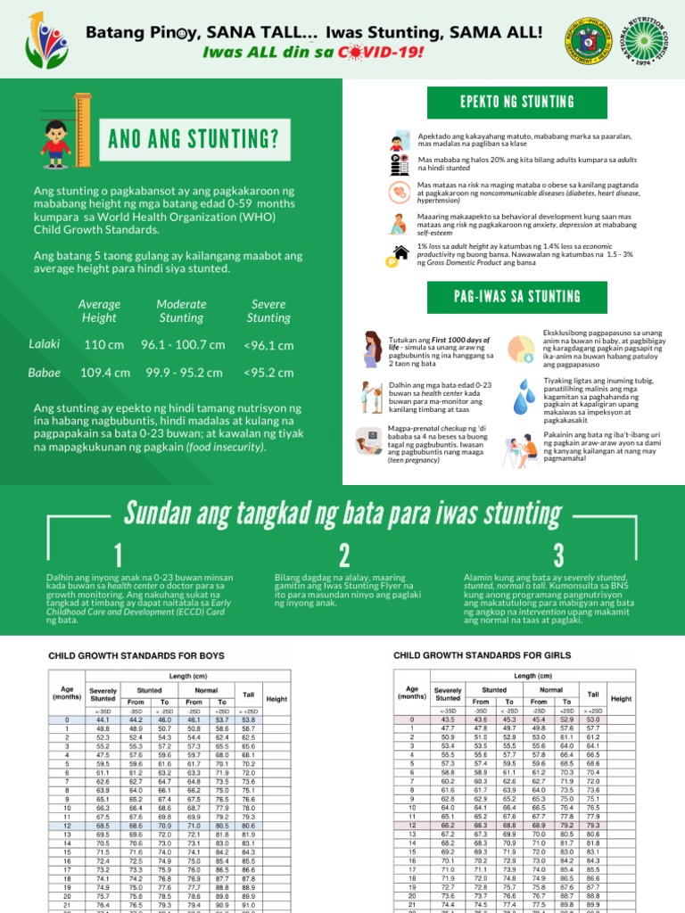 Stunting Flyer | PDF