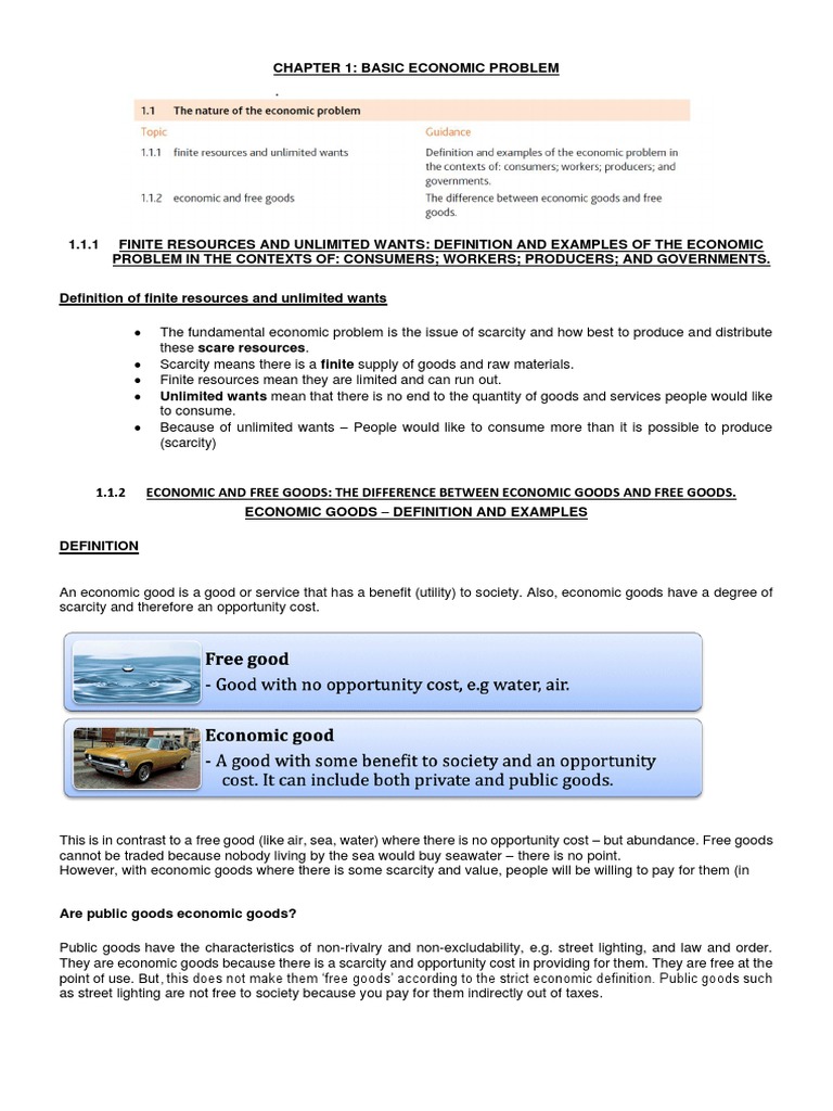 Understanding Economic Goods and Scarcity | PDF | Entrepreneurship | Goods
