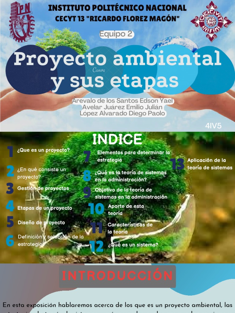 Proyecto Ambiental y Sus Etapas | PDF