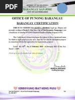 No Segregation No Collection Ordinance | PDF