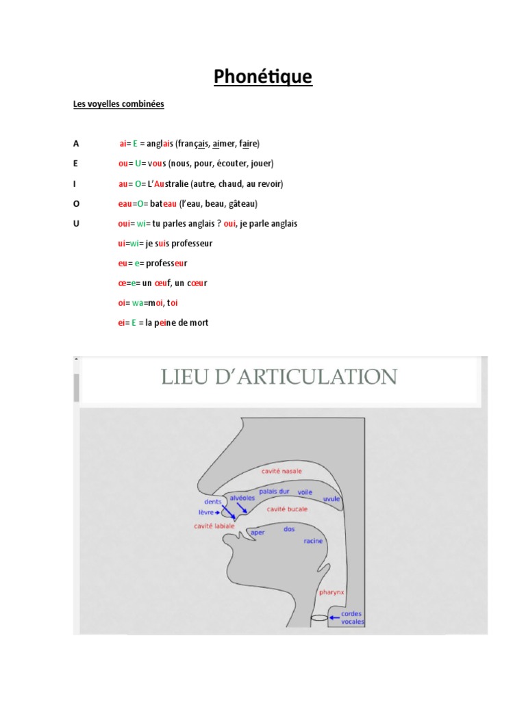 Exercices sur les voyelles composées | PDF | Arts du langage et discipline
