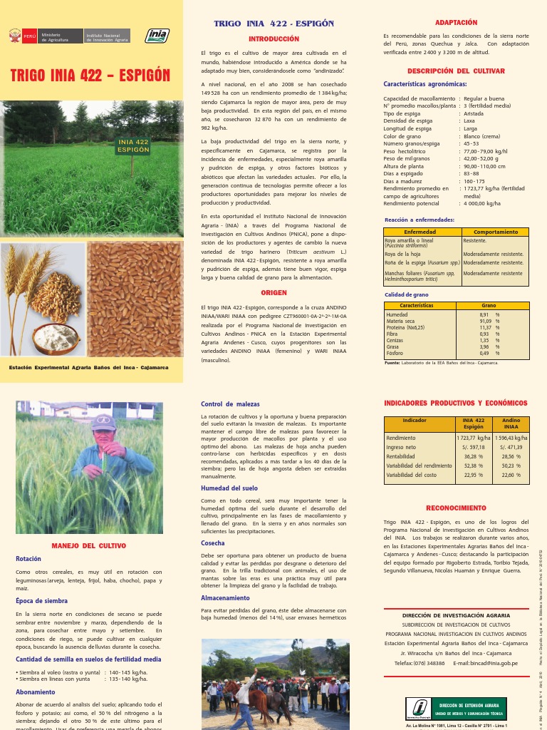 Inia 422 | PDF | Agricultura | Trigo