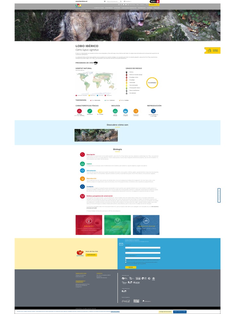 Todo Sobre Lobos | PDF | zoo | Organismos