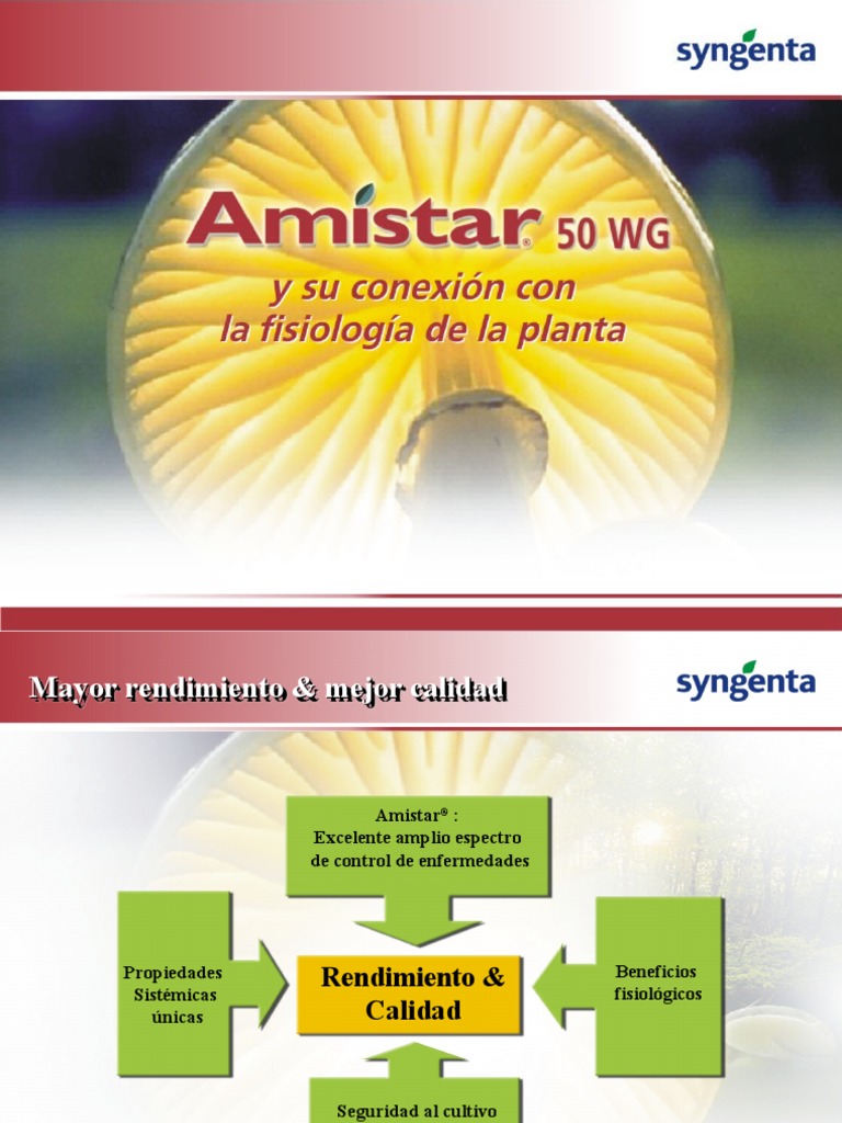 Amistar 03 | PDF | Hoja | Fotosíntesis