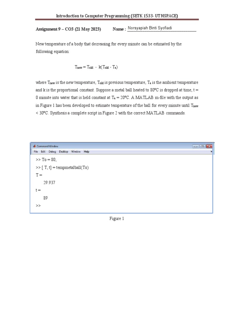Norsyapiah Assignments 9 PDF | PDF