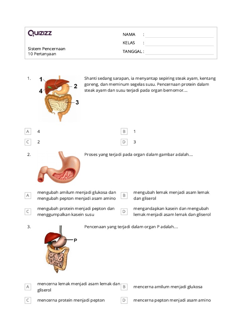 Sistem Pencernaan 12 Okt | PDF
