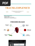 Inserto Esfinto Plus | PDF | Medicina CLINICA | Especialidades Medicas