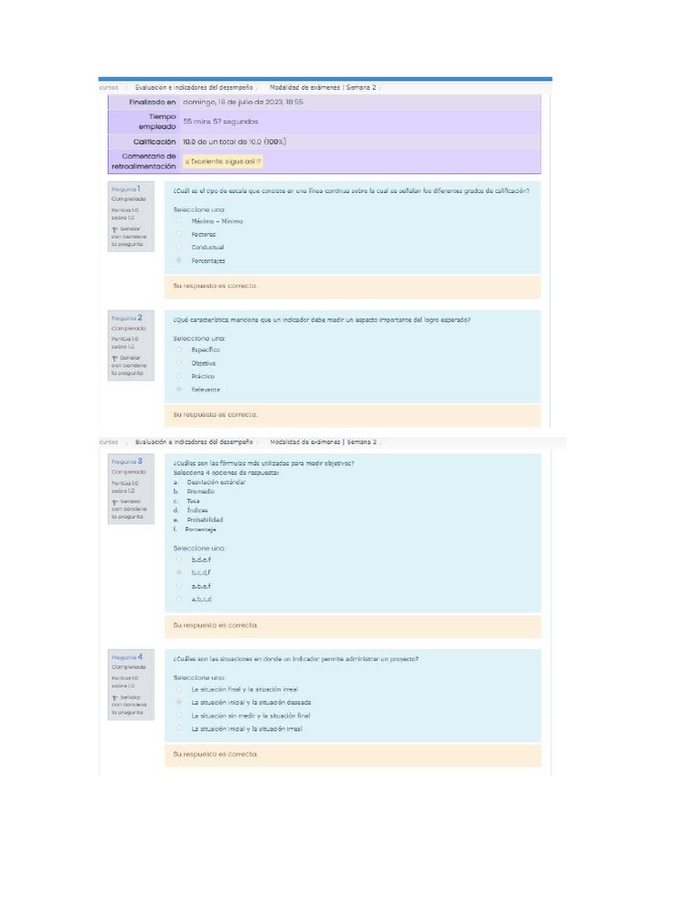 Evaluación e Indicadores Del Desempeño Examen Semana 2 | PDF