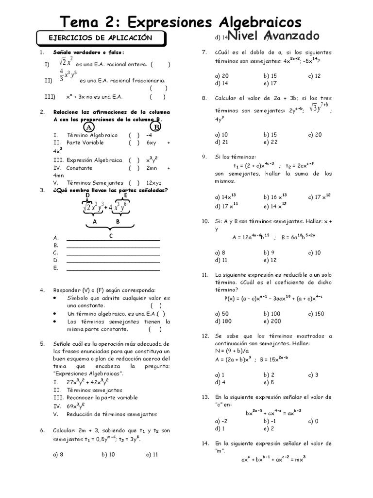 ALGEBRA TEMA 2 NIVEL AVANZADO Expresiones Algebraicas | Descargar gratis PDF | Notación ...