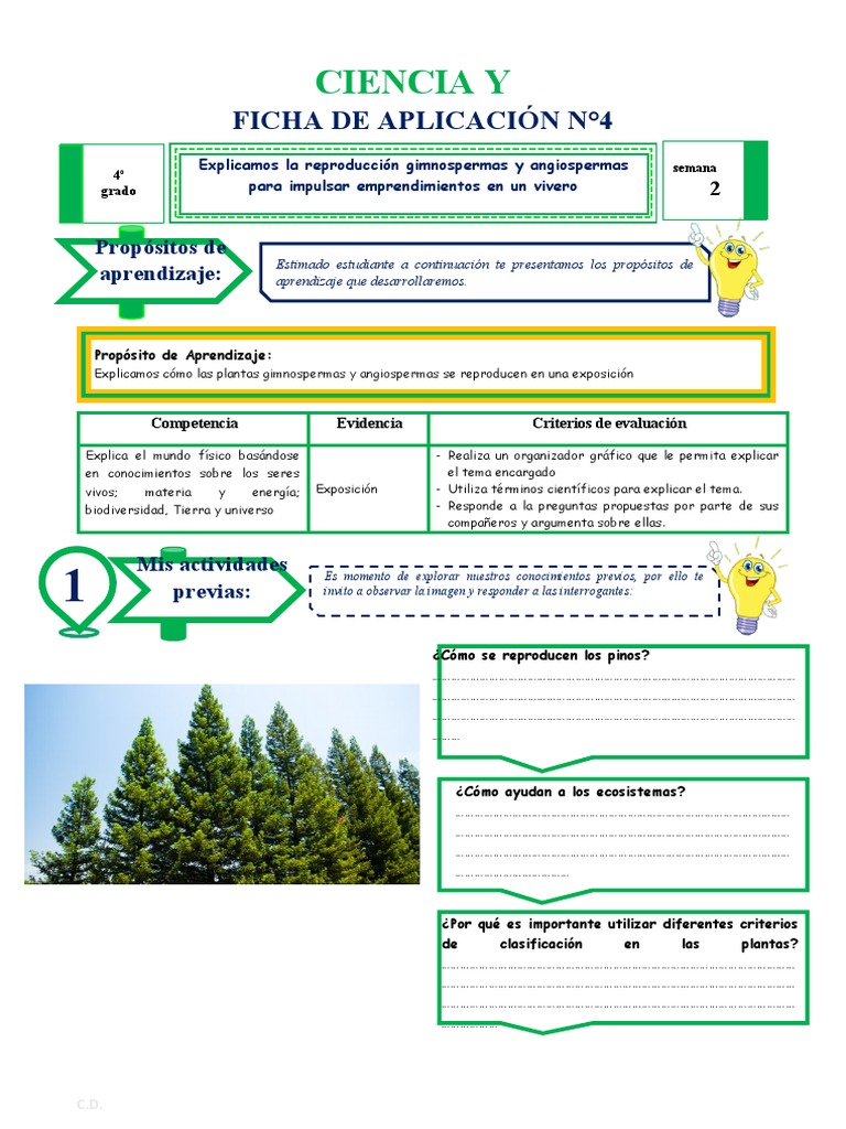 4° Ficha-S4-Exp.5-Cyt | PDF | Plantas | Reproducción
