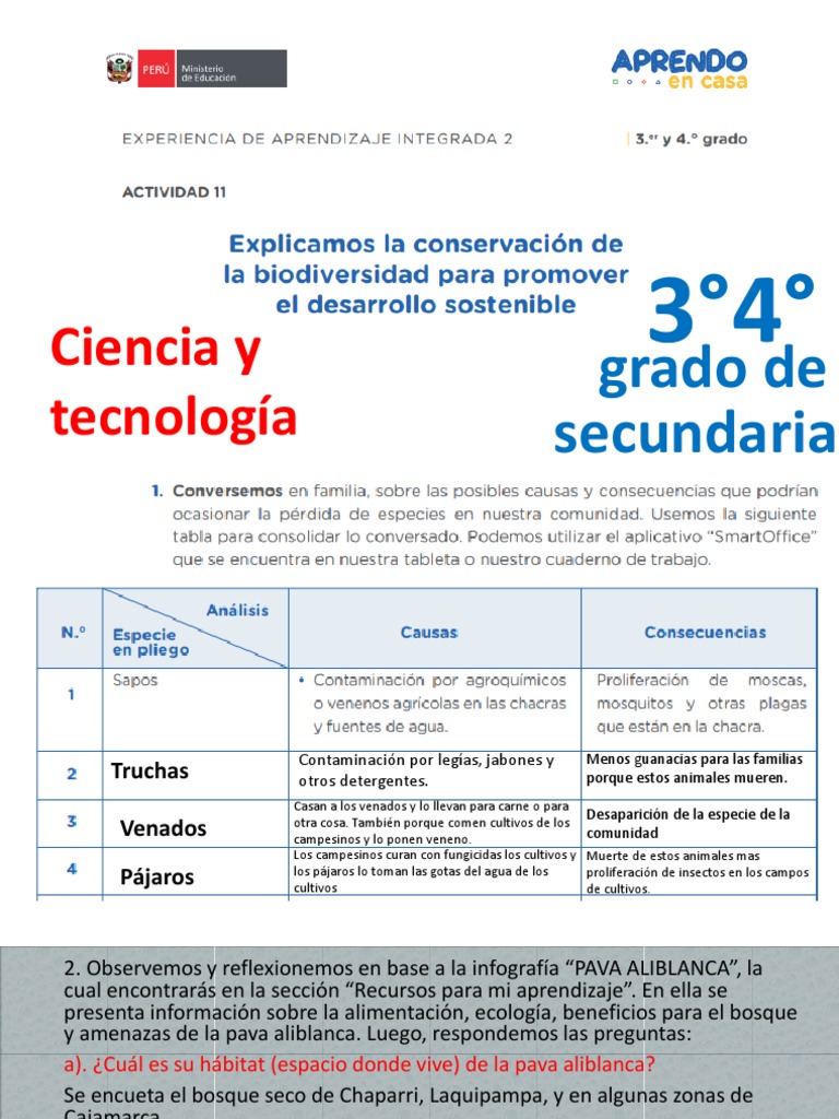 Semana 5 Ciencia y Tecnologia 3 y 4 Grado de Secundaria | PDF Semana 5 Ciencia y Tecnologia 3 y 4 Grado de Secundaria | PDF