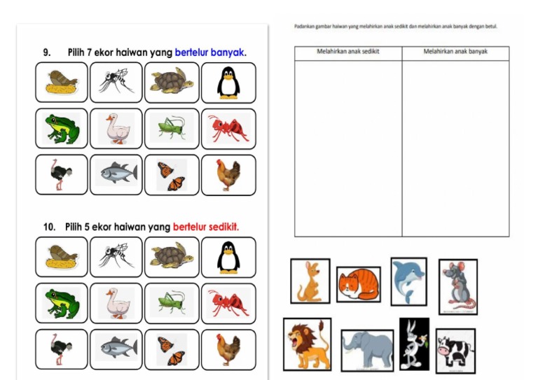 HAIWAN BERANAK BAYAK DAN SEDIKIT (4) | PDF