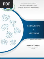 Dermatomas y Miotomas | PDF | Nervio | Sistema musculoesquelético
