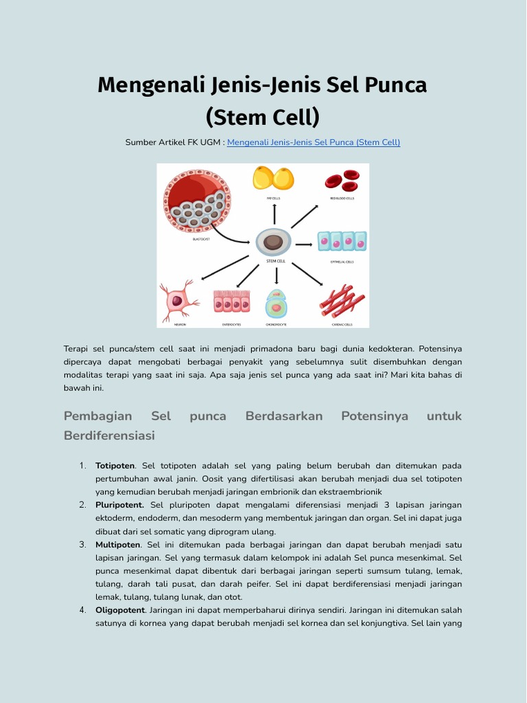 Jenis-Jenis Sel Punca dalam Terapi | PDF