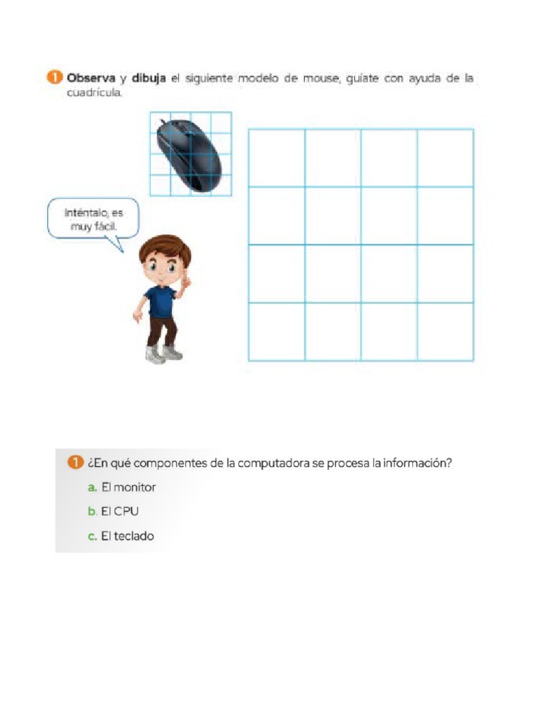 Ejercicio 3 (2do y 3ro Primaria) | PDF